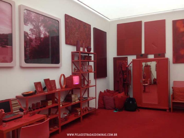 Instituto Inhotim - Brumadinho: Museu de Arte e Natureza